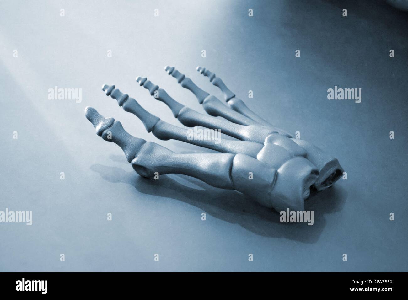 Gray prototype of the human foot skeleton printed on 3d printer on dark ...
