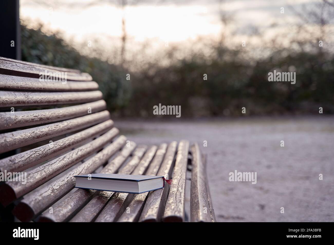 Book bench hi-res stock photography and images - Alamy