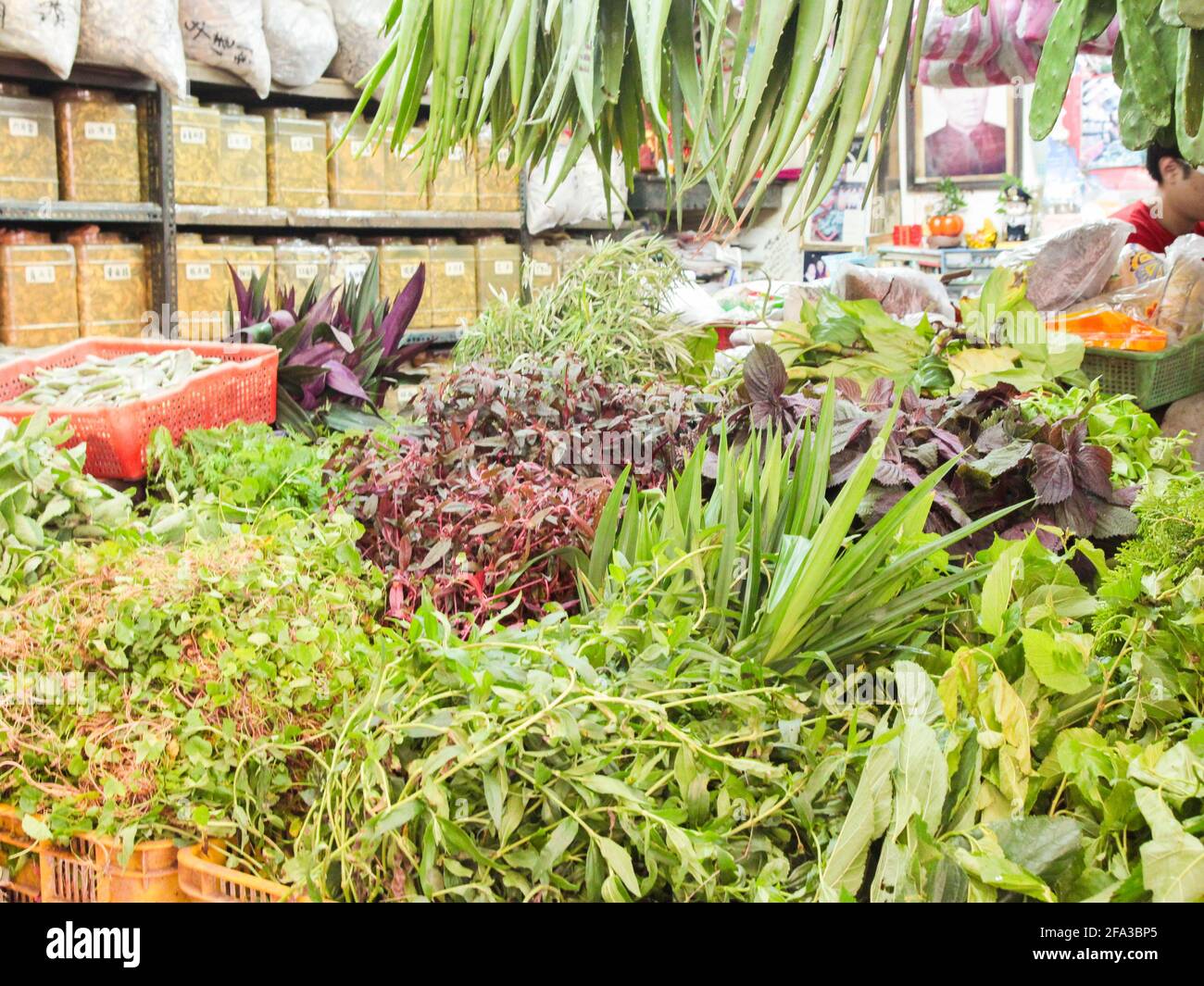 Overview of a typical stall with roots, greens, other herbs and plants ...