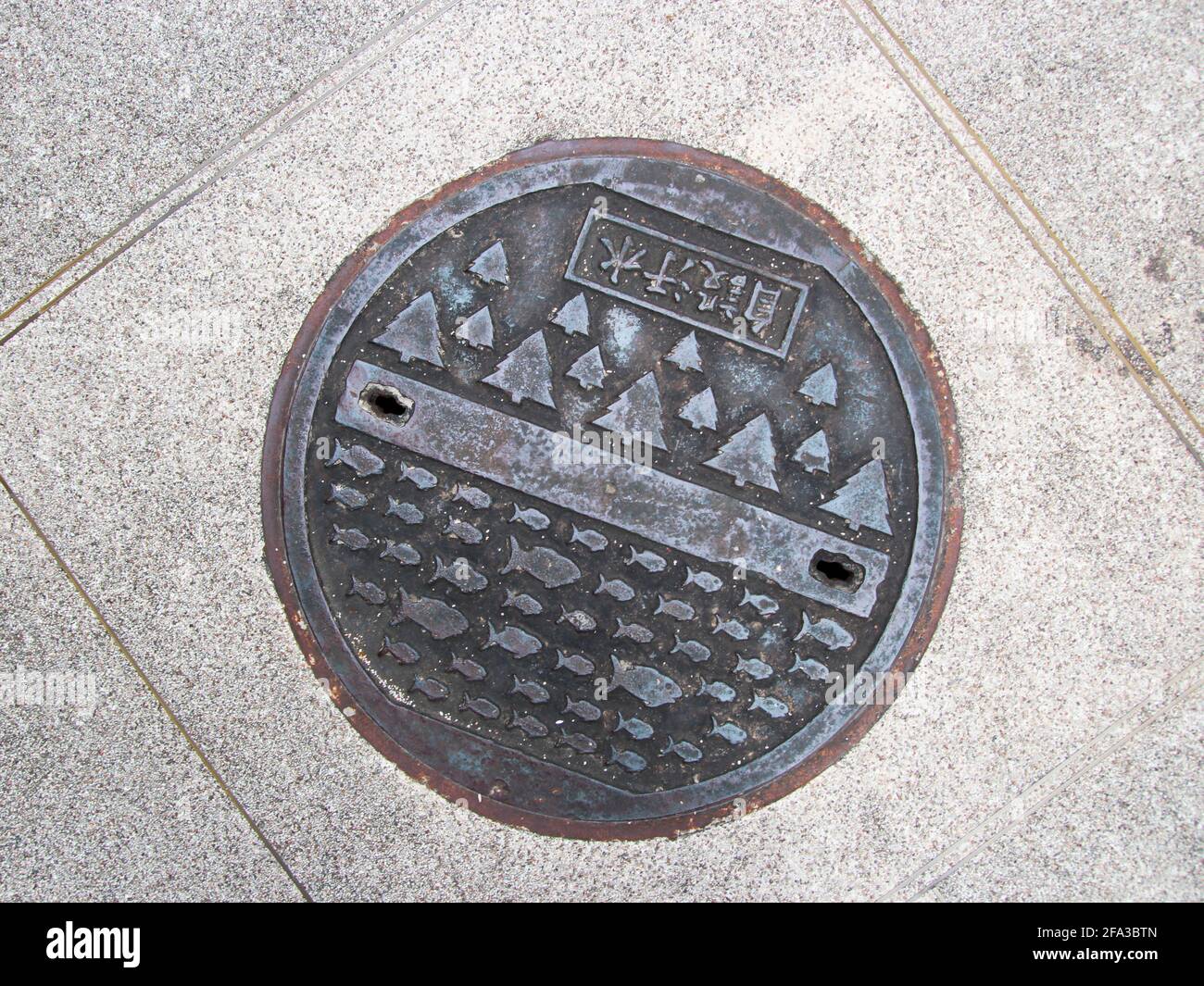 A classic, iconic metal, steel manhole sewer water cover featuring fish ...