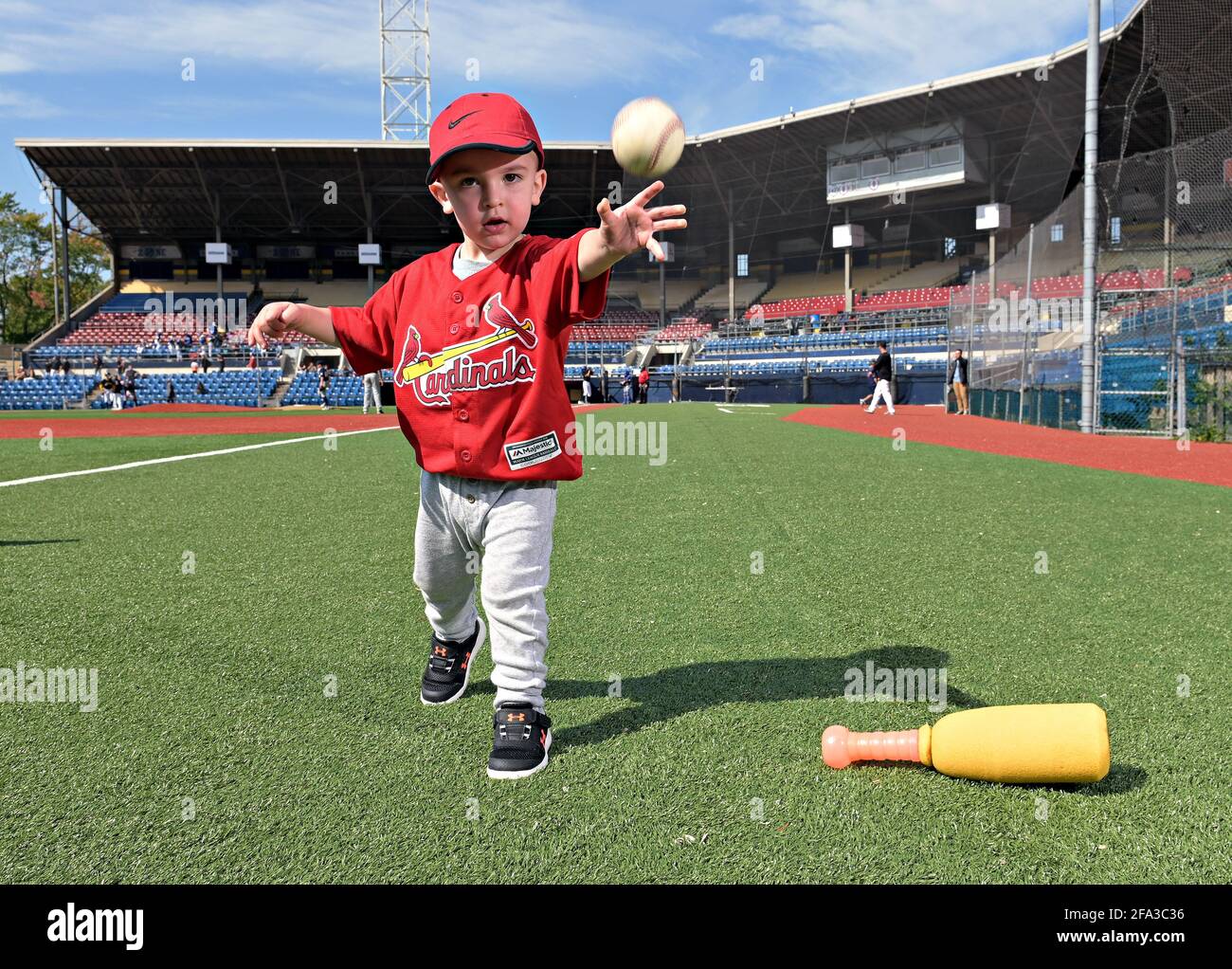 Baseball cards hi-res stock photography and images - Alamy