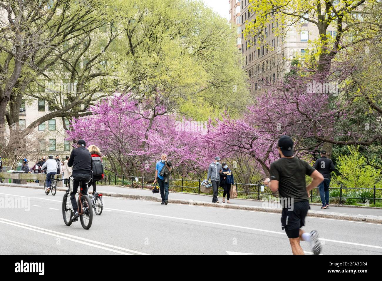 New York City Residents and Tourists Enjoy Central Park in Springtime ...