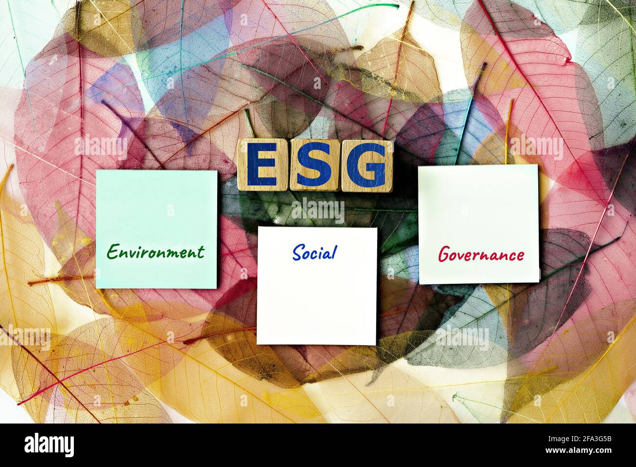 photo on ESG (Environmental, Social, and Corporate Governance) theme ...