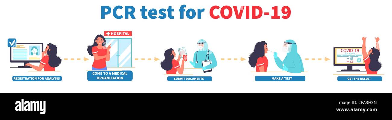 Laboratory PCR test for coronavirus process, vector infographic ...
