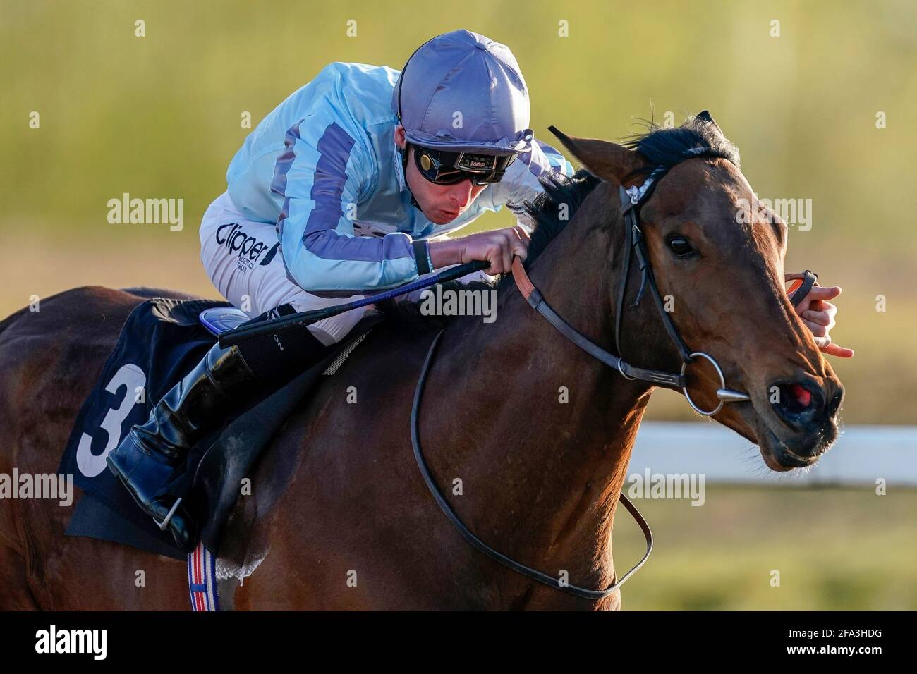 Shoemark hi-res stock photography and images - Alamy