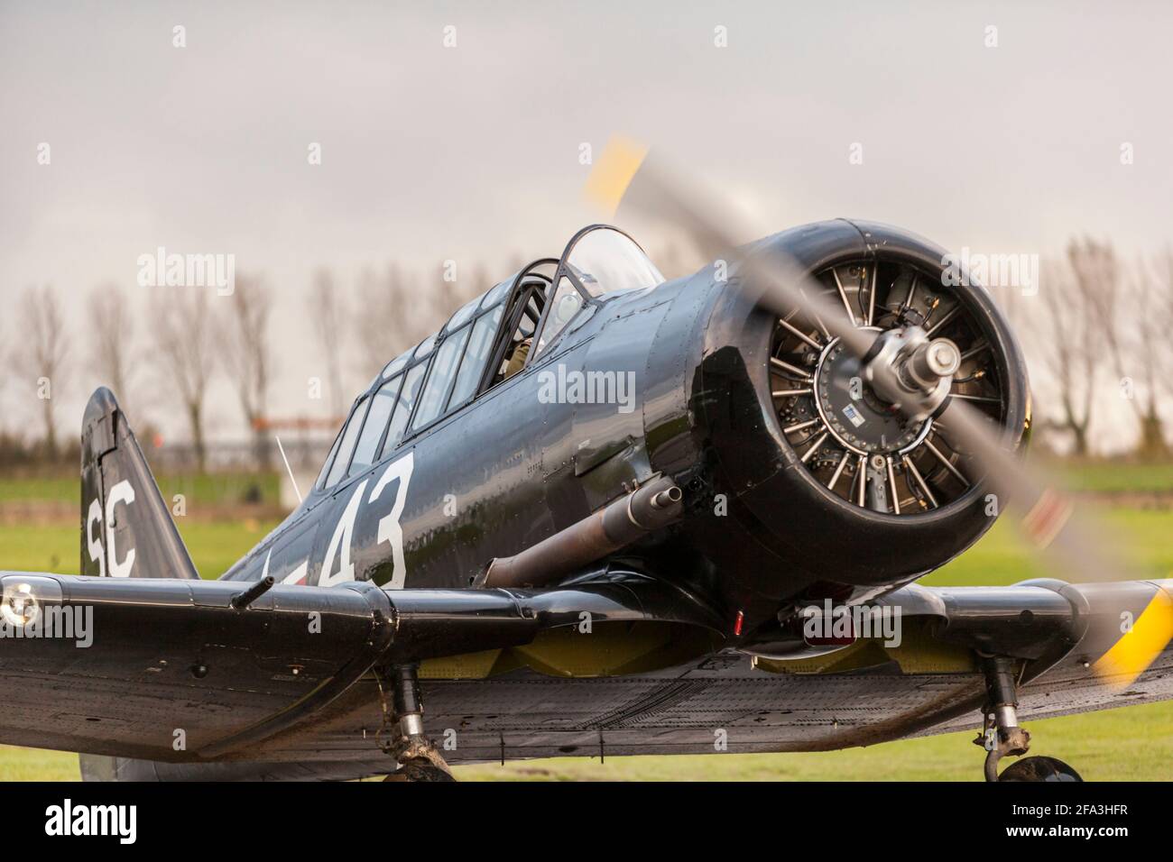 The single-engined Harvard trainer WWII aircraft, this example being ...