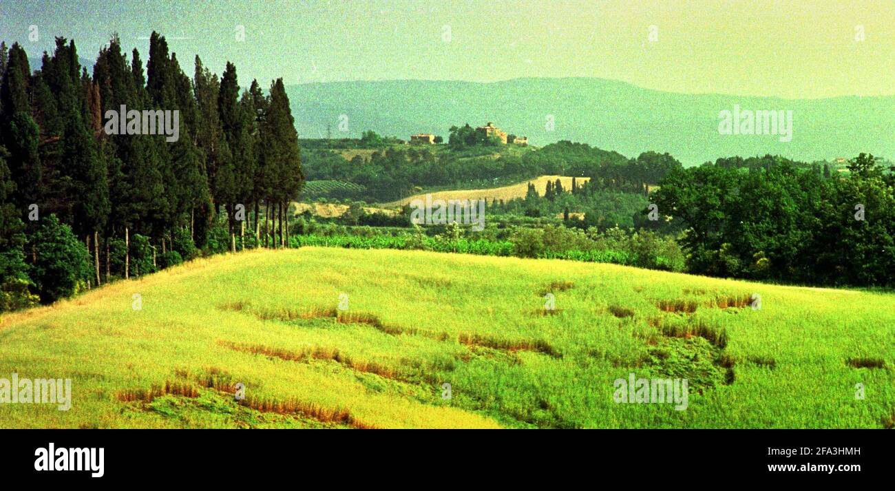 The picture shows the house across the farmland in Italy Stock Photo ...