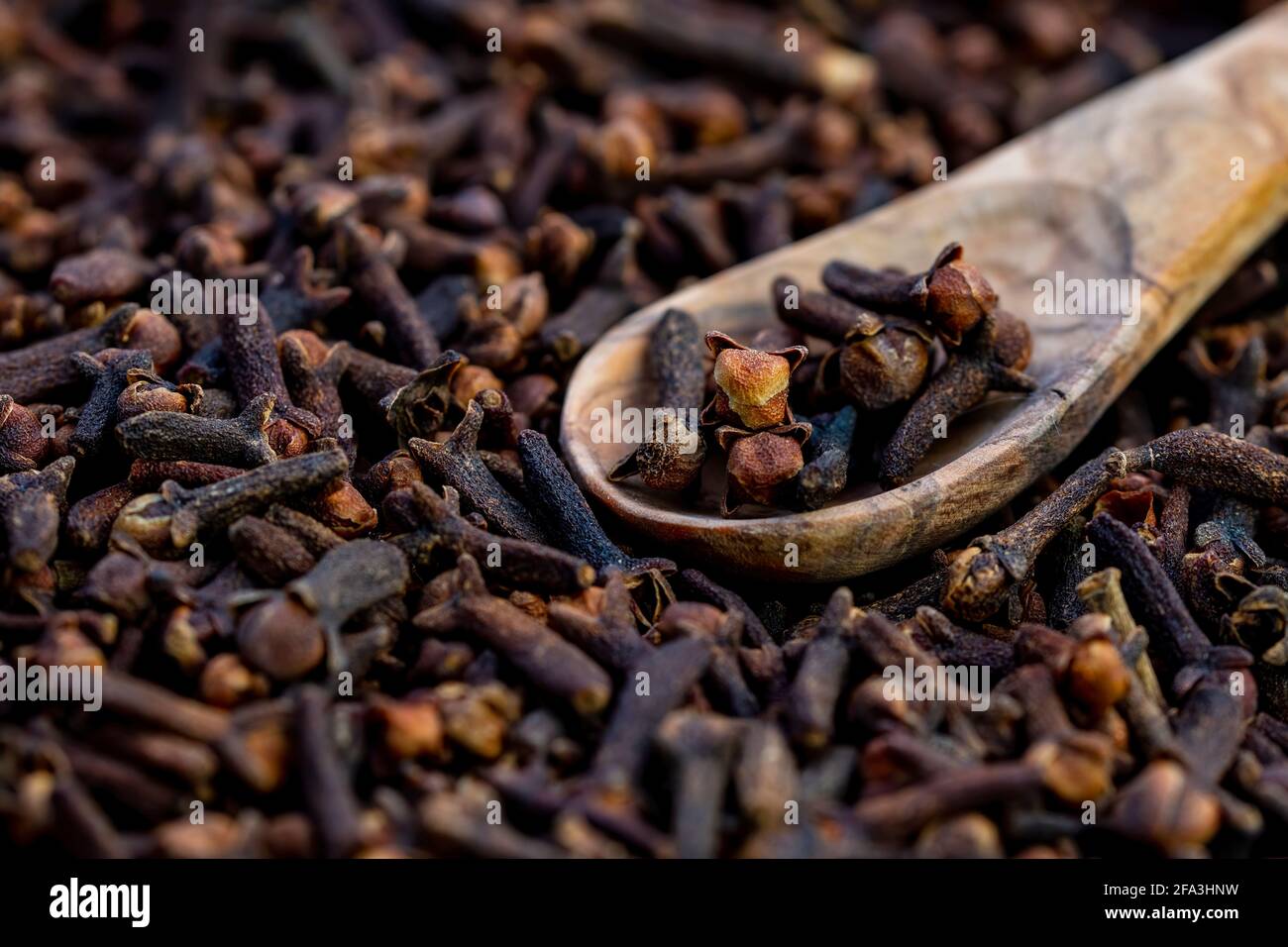 Macro photography of Cloves, are the aromatic flower buds of a tree in ...