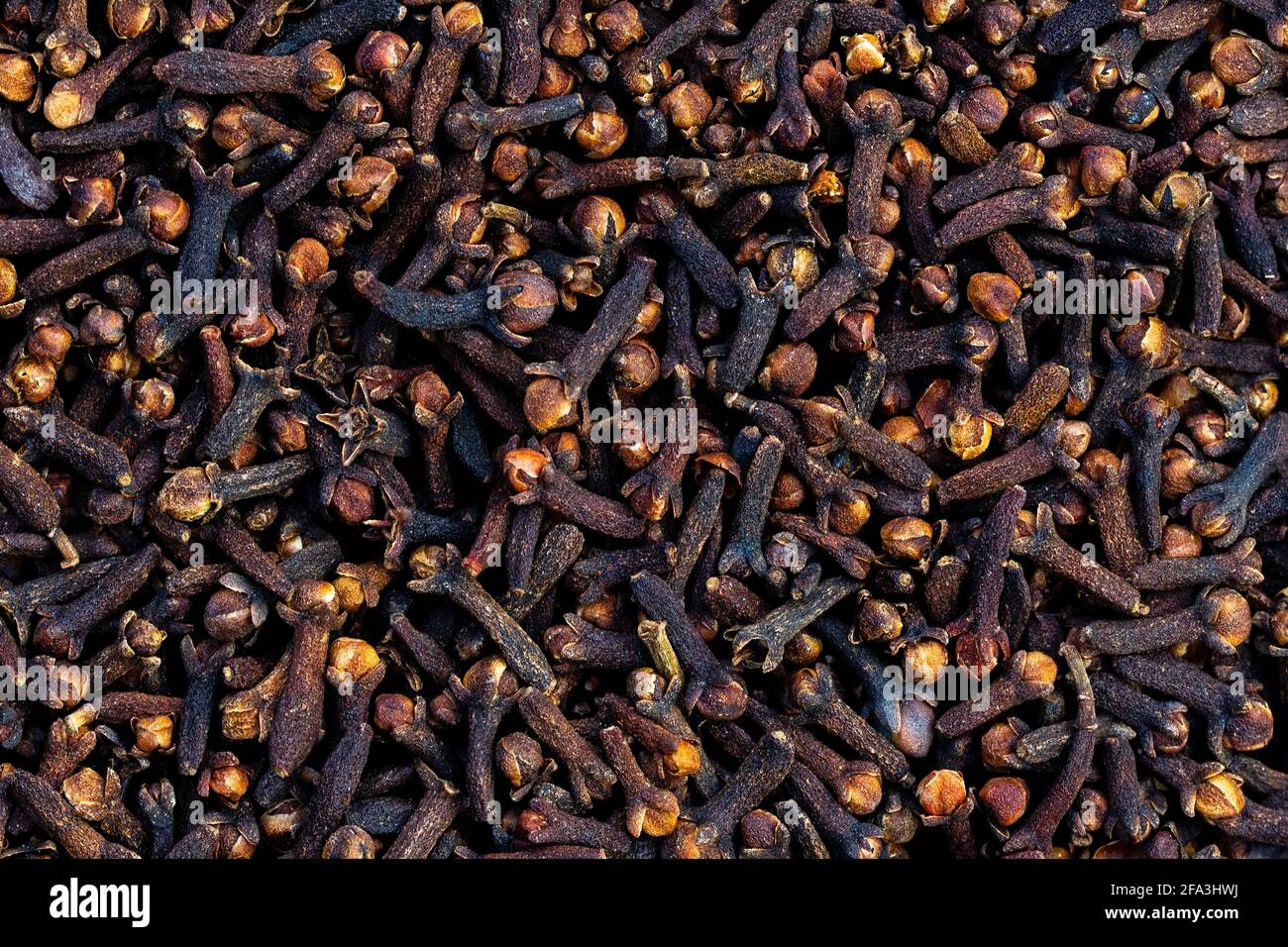 Macro photography of Cloves, are the aromatic flower buds of a tree in ...
