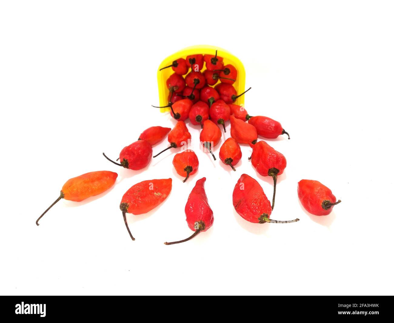 bhut jolokia ghost pepper isolated on white background. ghost pepper ...