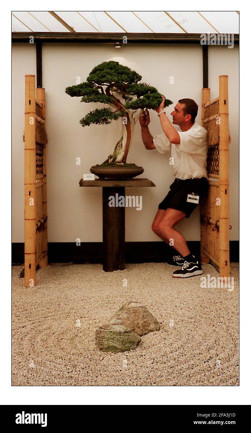 Chelsea Flower Show 1998Herons Bonsai Stand being prepared by one of ...