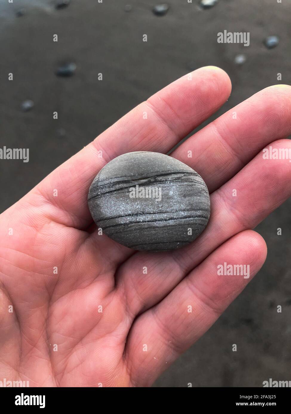 Striated and striped sedimentary rock being held in the palm of a hand ...