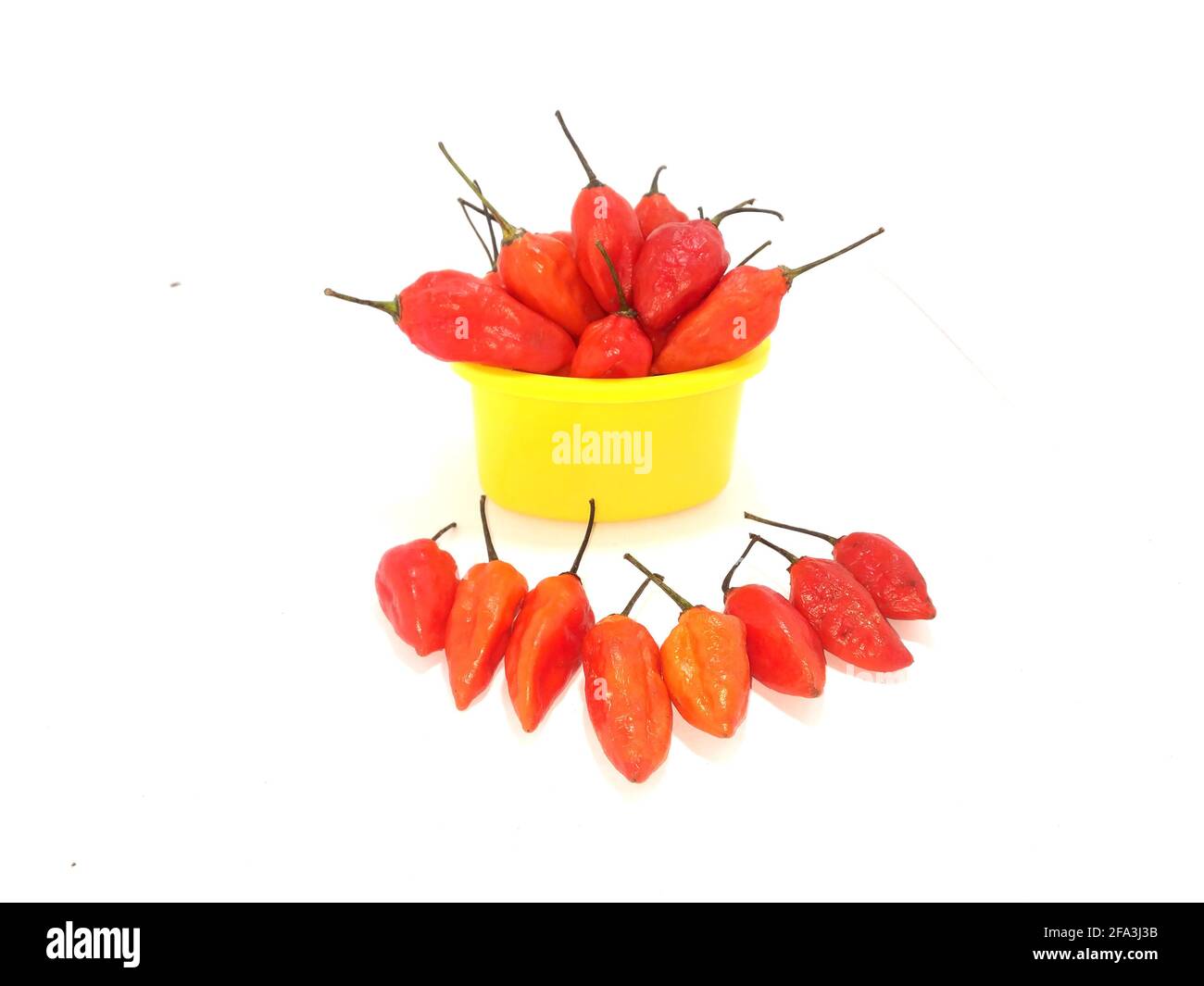 bhut jolokia ghost pepper isolated on white background. ghost pepper ...