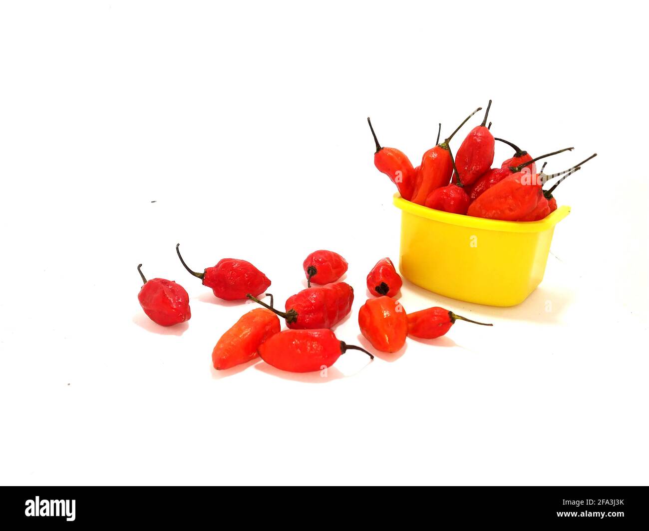 bhut jolokia ghost pepper isolated on white background. ghost pepper ...