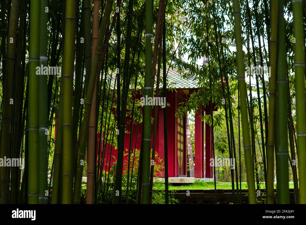 Title: Indochinese temple of remembrance. Red temple seen through green ...