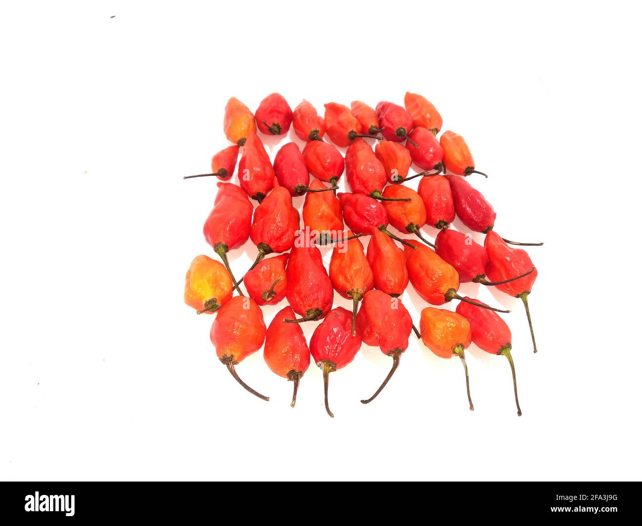 Assamese fruit hi-res stock photography and images - Alamy