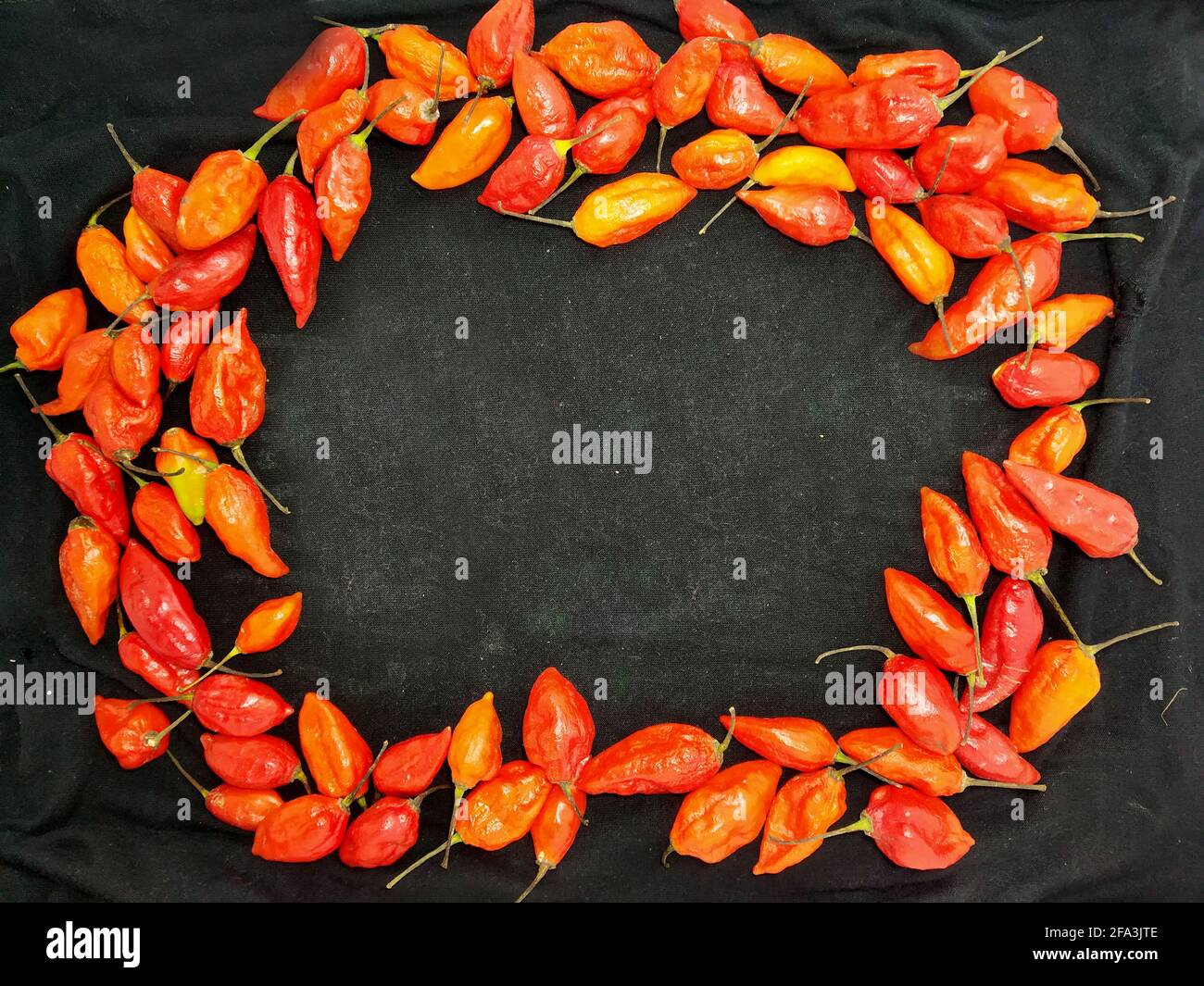 bhut jolokia ghost pepper is coming out of a mug on black background ...