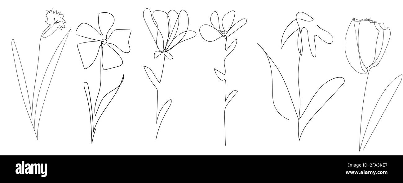 set of vector single one line drawn set of flowers. handdrawing outline ...