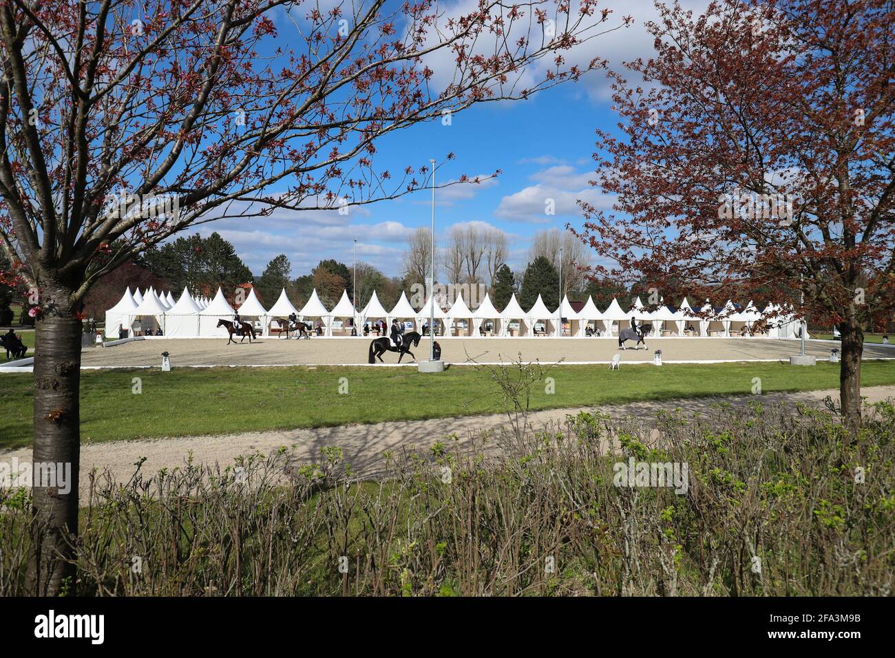 Warm up arena horse hi-res stock photography and images - Alamy