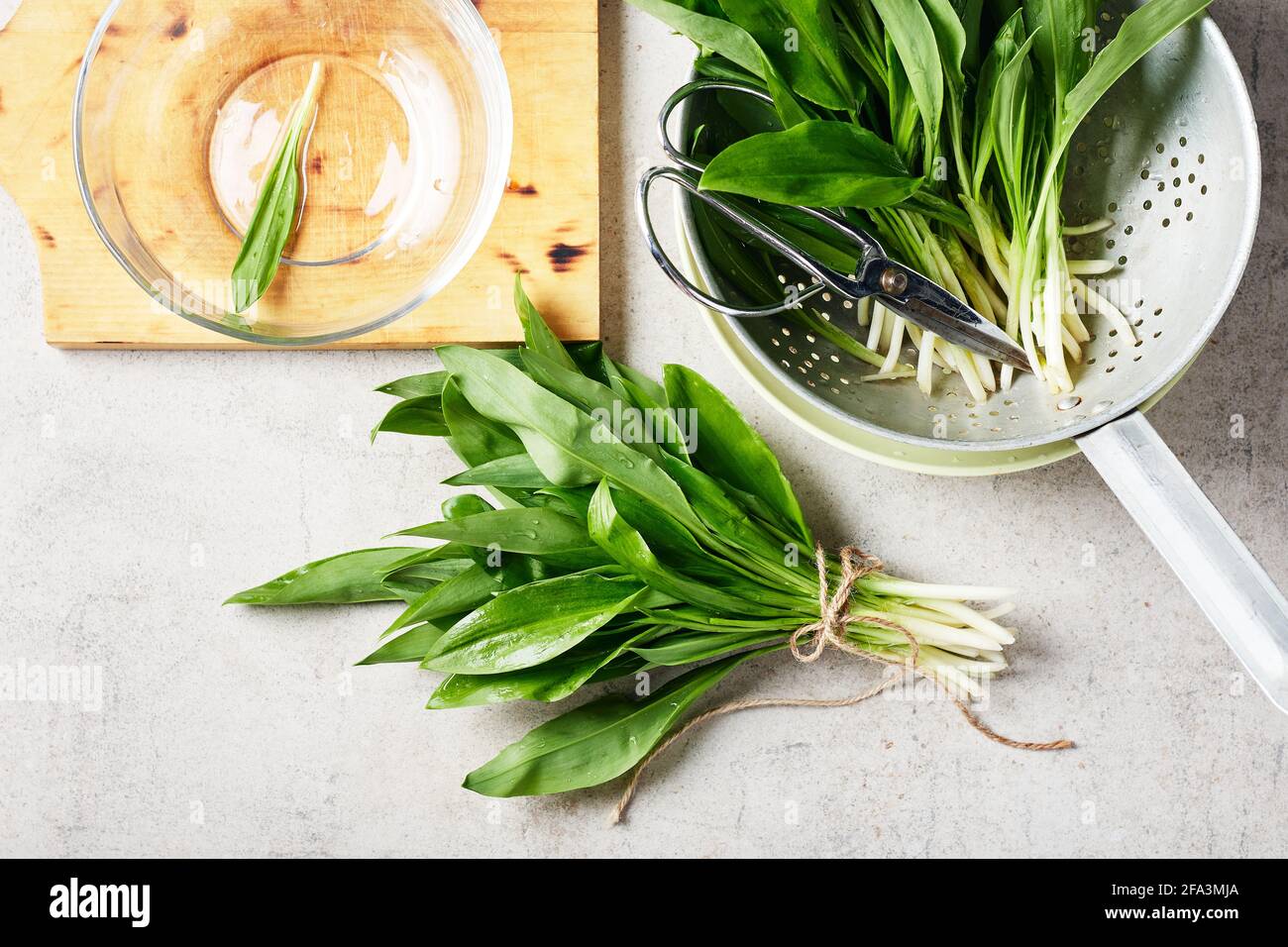 Bunch of fresh ramson (wild garlic) for making pesto sauce Stock Photo ...