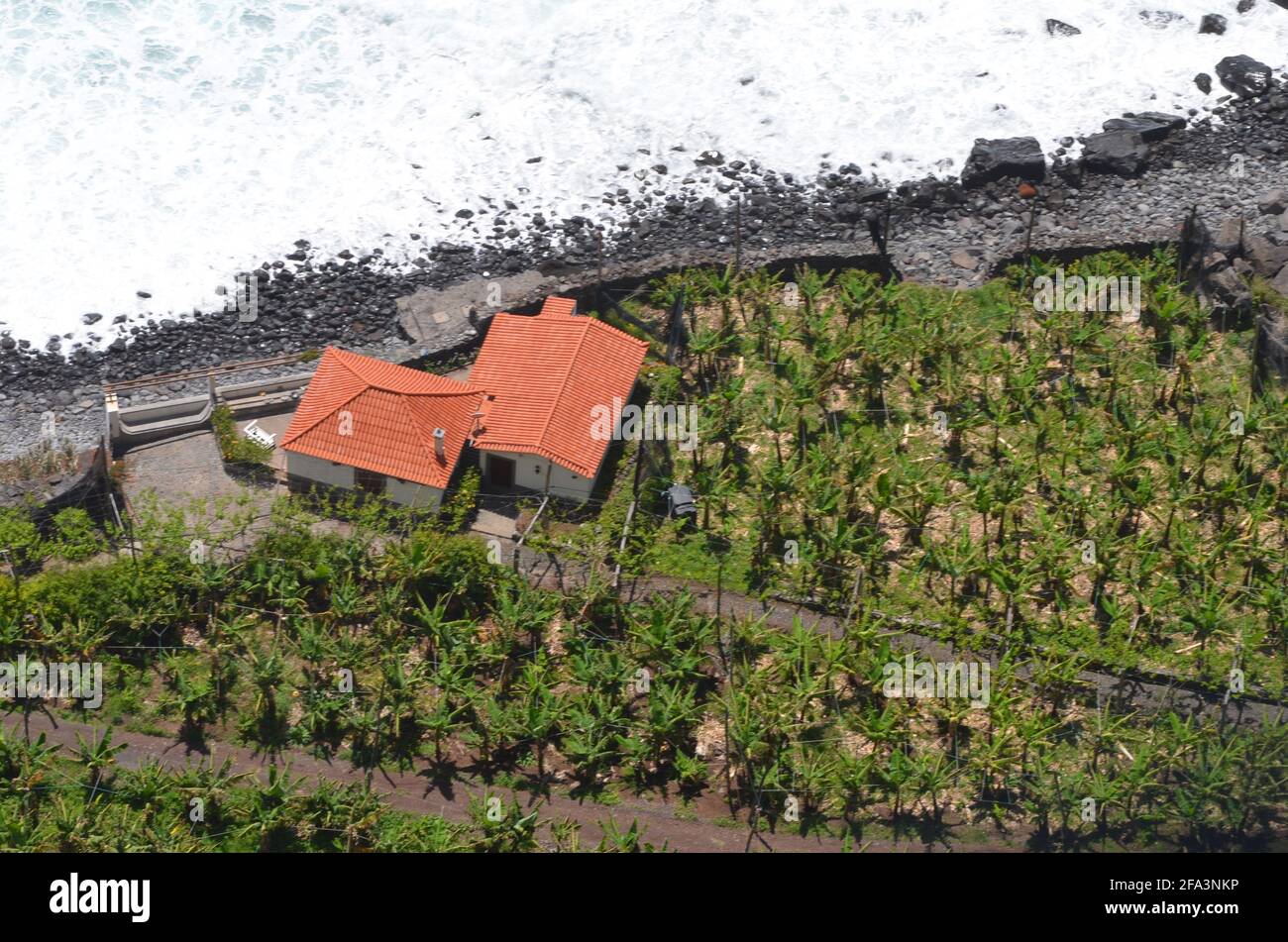 Faja dos Padres in Madeira island, a narrow coastal platform at the ...