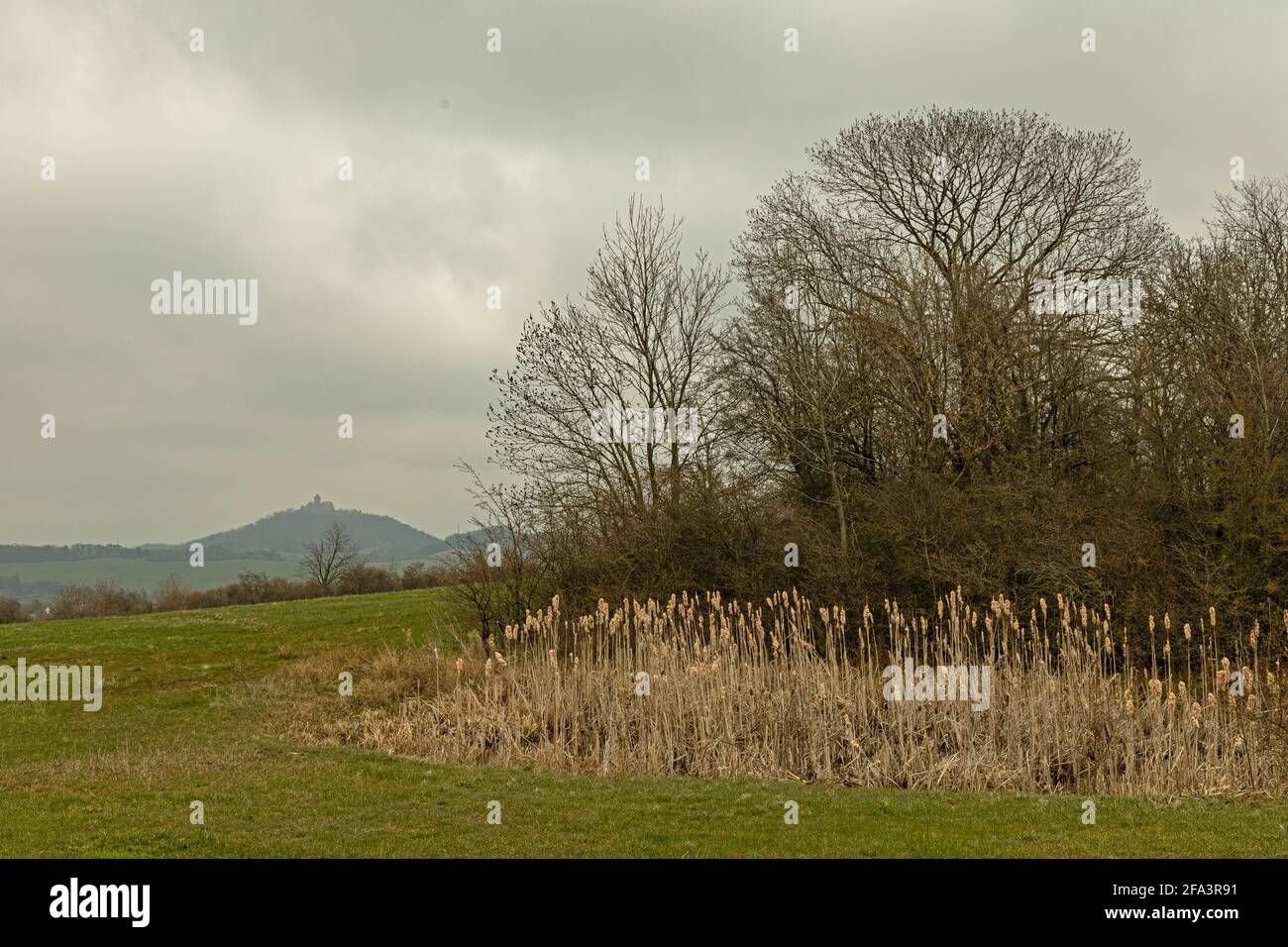 landscape in Thuringia with view to castle Wachsenburg Stock Photo - Alamy