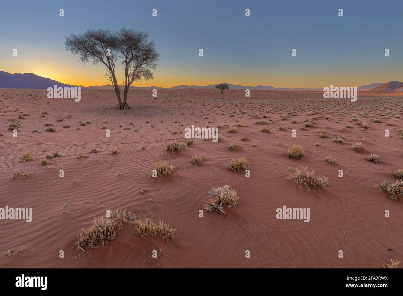 Dry red windswept sand in the Namib Desert Stock Photo - Alamy