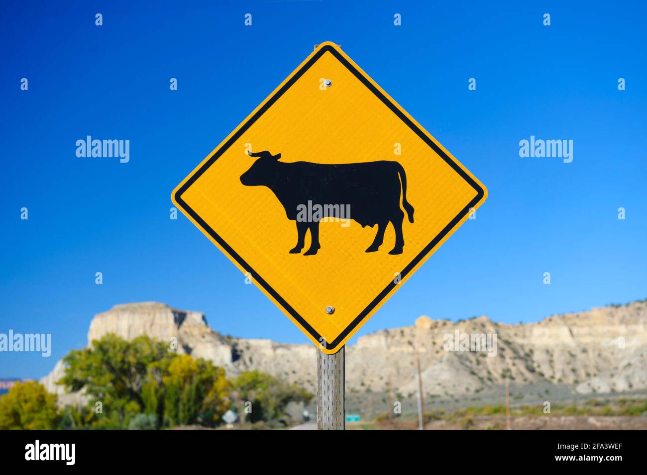 Cattle crossing sign hi-res stock photography and images - Alamy