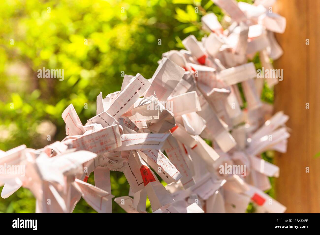 tokyo, japan - april 20 2021: Close up on Shinto o-mikuji fortune strip ...