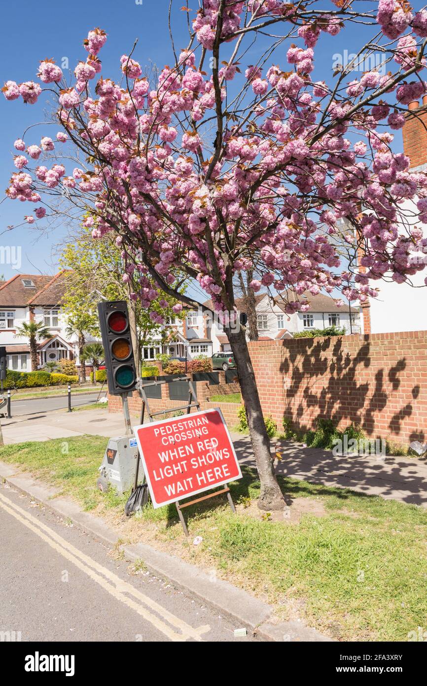 Pink and blue road crossing london hi-res stock photography and images ...
