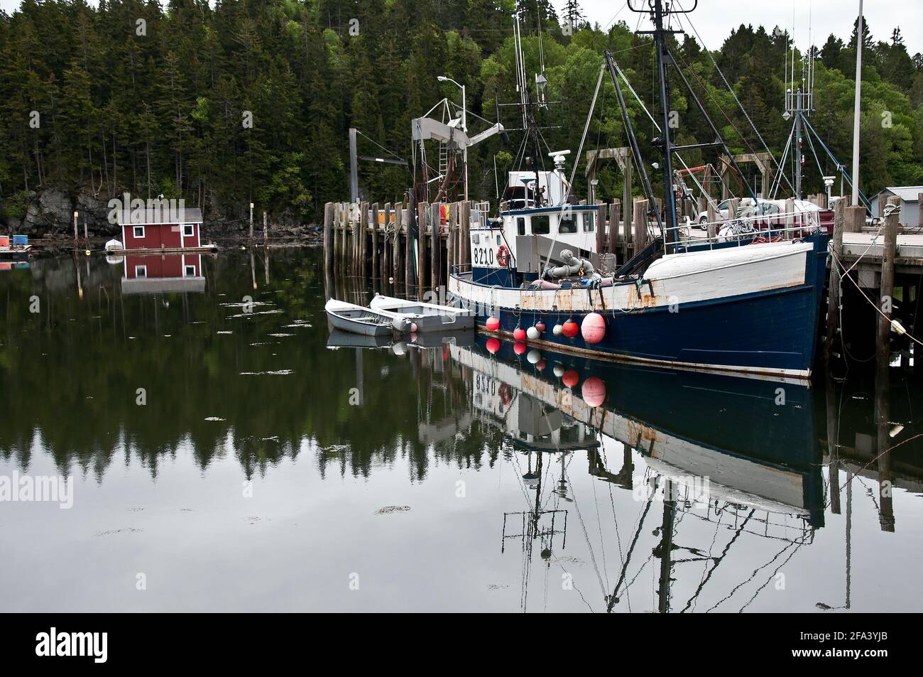 Fishing boats docked in Lubec Harbor, maine Stock Photo - Alamy