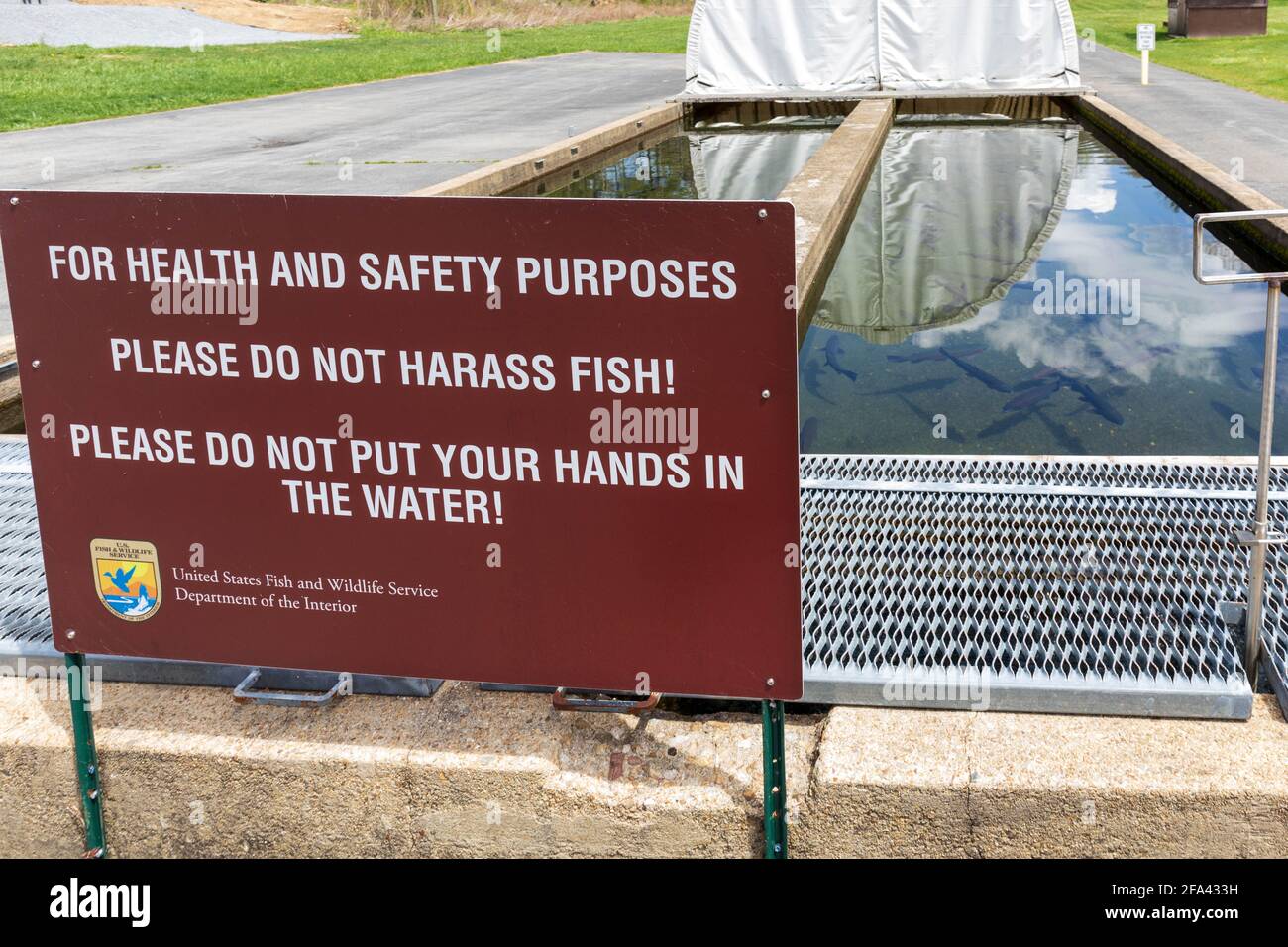 Fish hatchery hi-res stock photography and images - Alamy