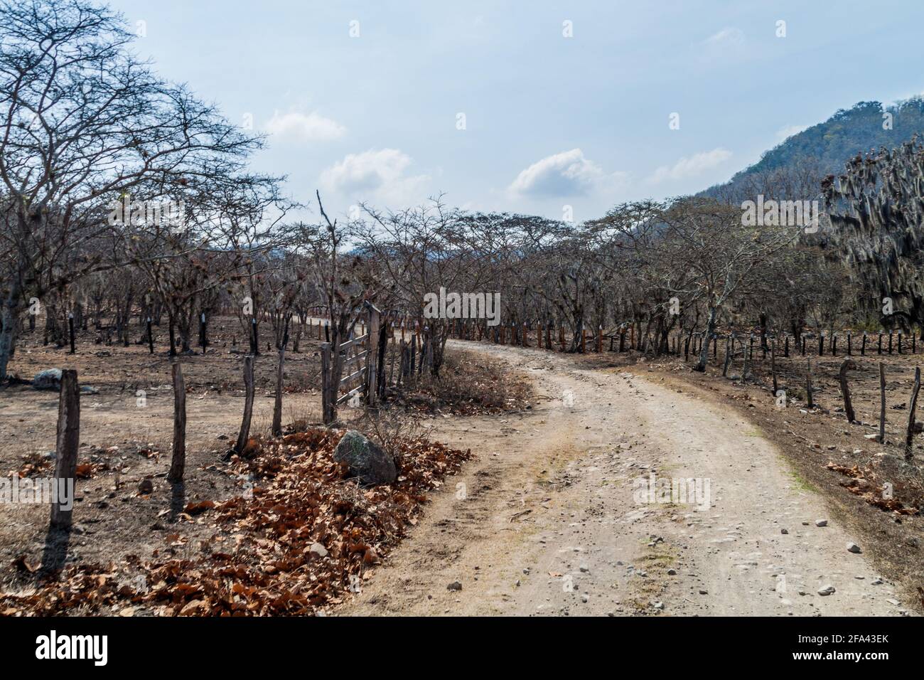 Miraflor hi-res stock photography and images - Alamy