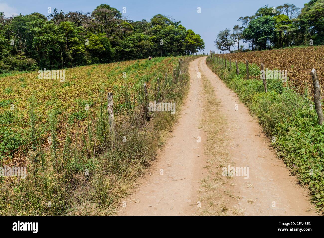 Miraflor Nicaragua High Resolution Stock Photography and Images - Alamy