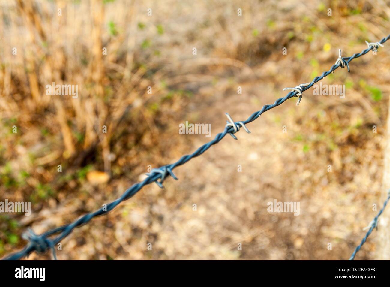 Detail of a barbed wire Stock Photo - Alamy