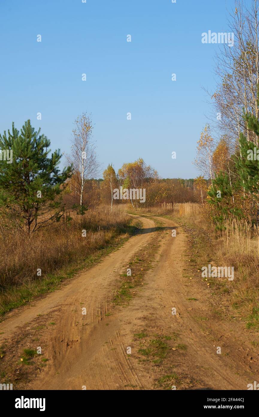Car empty road in wilderness hi-res stock photography and images - Alamy