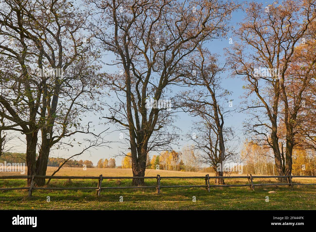 Wooden fence along park hi-res stock photography and images - Alamy