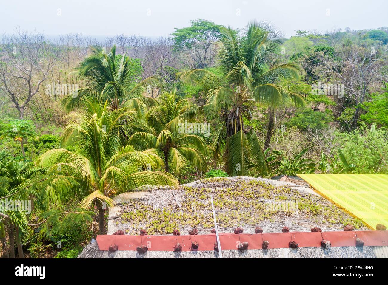 Tropical straw roof hut hi-res stock photography and images - Alamy