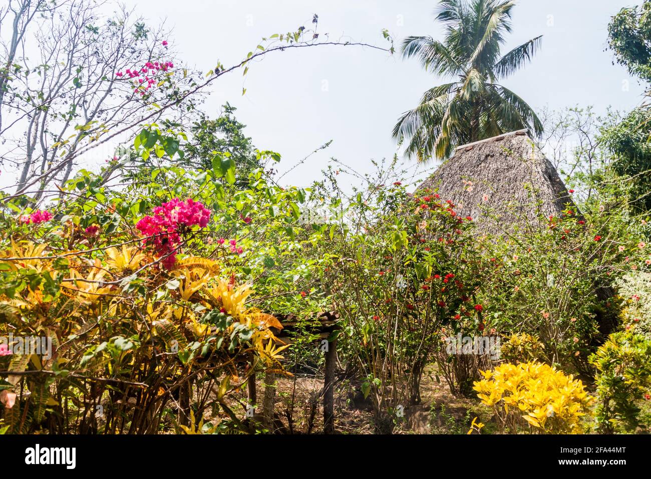 Tropical straw roof hut hi-res stock photography and images - Alamy