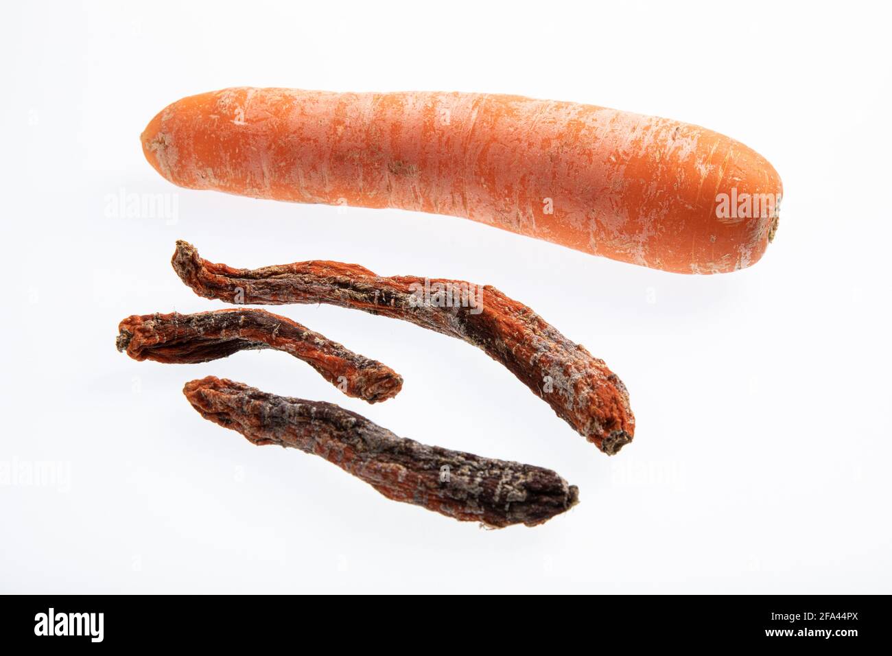 Fresh an ripe carrot next to three rotting carrots isolated on white ...