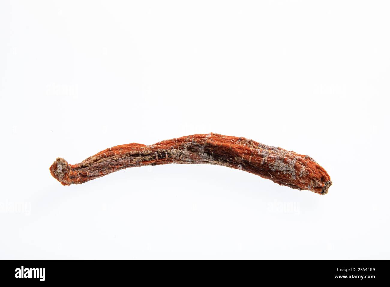 Rotting and moldy carrot isolated on white Stock Photo - Alamy