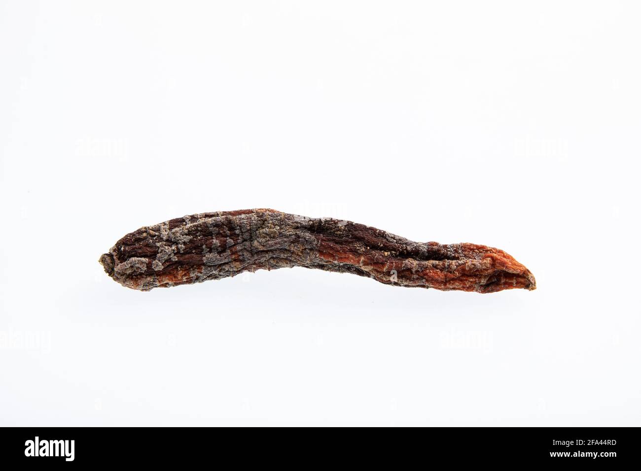 Rotting carrot hi-res stock photography and images - Alamy