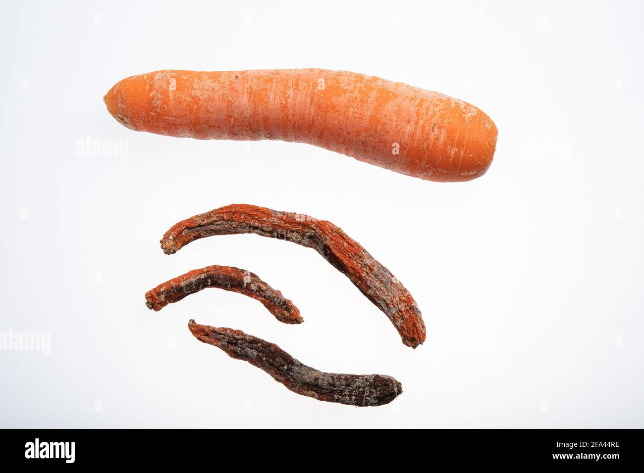 Moldy carrots hi-res stock photography and images - Alamy