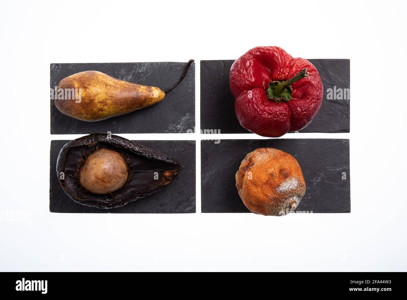 Group of different fruits and vegetables rotting and with mold on them ...
