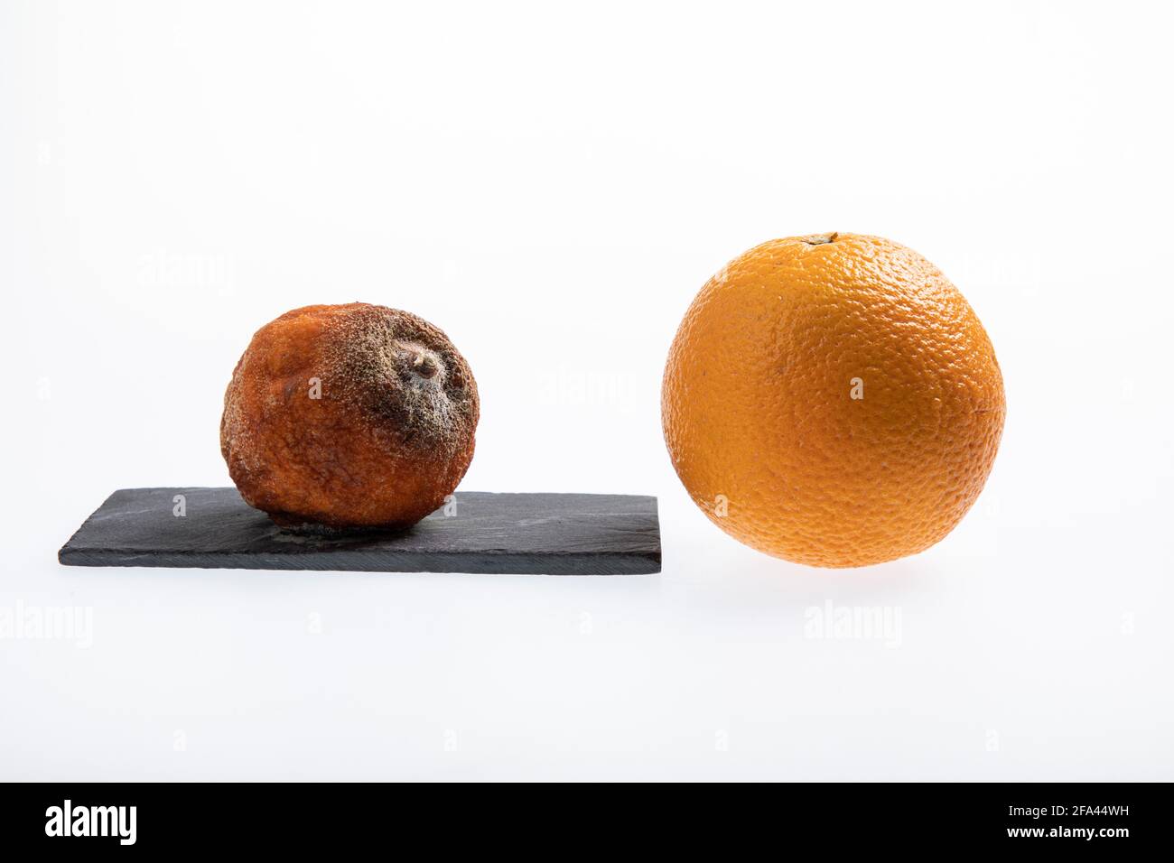 Rotting orange hi-res stock photography and images - Alamy