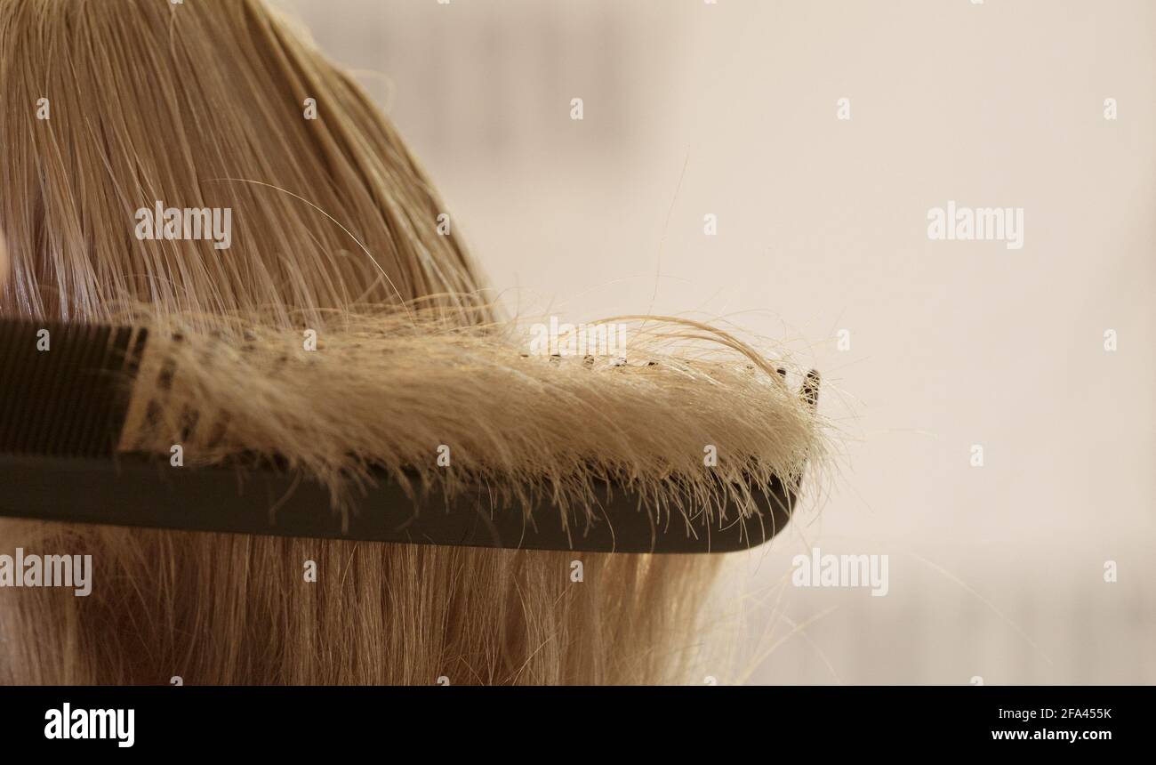 Blonde hair strand comb hi-res stock photography and images - Alamy