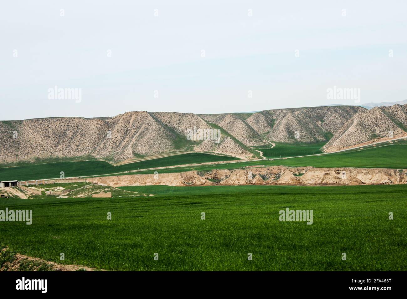 Nature Art of The God Stock Photo - Alamy