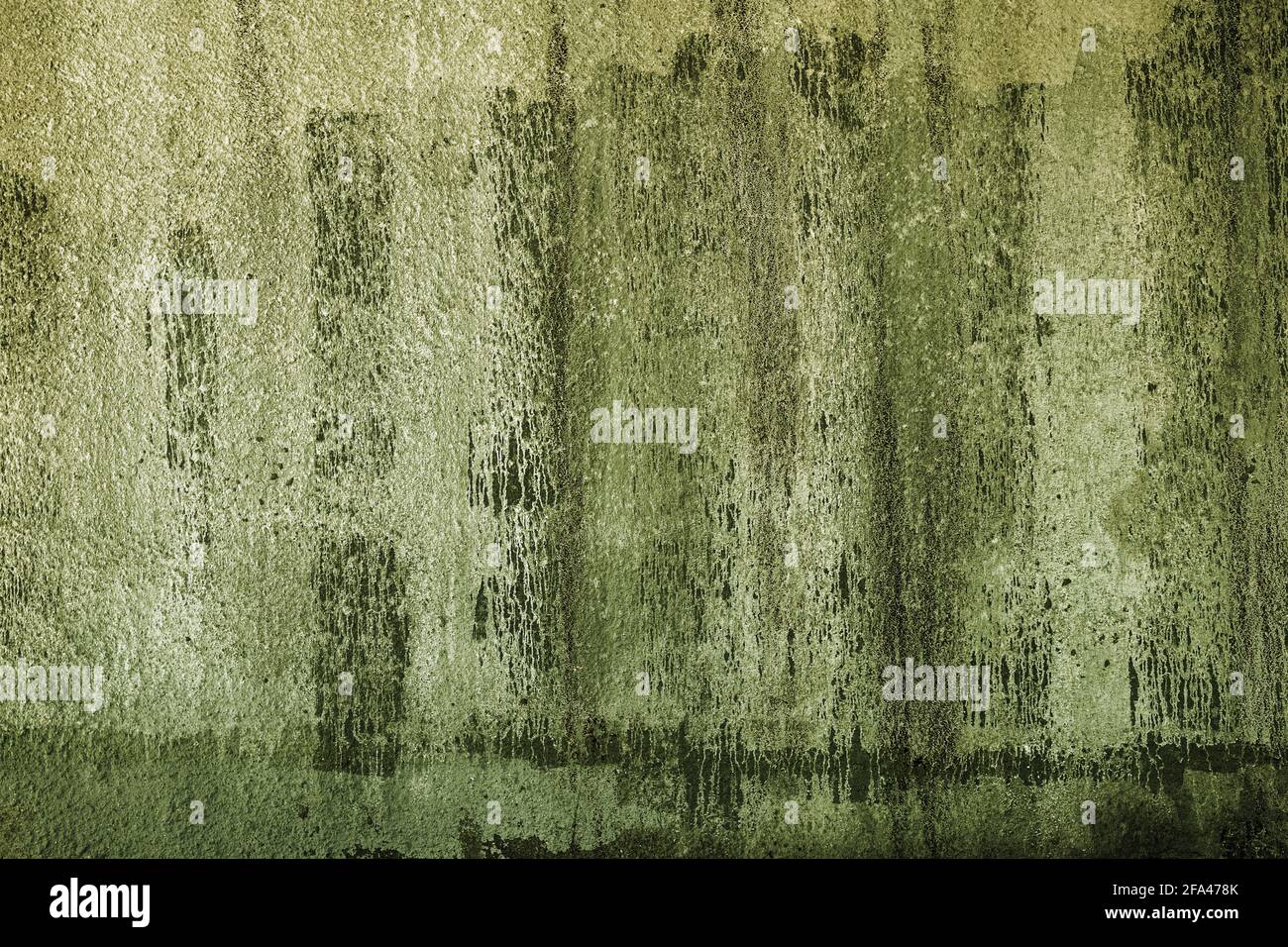 Green parchment hi-res stock photography and images - Alamy