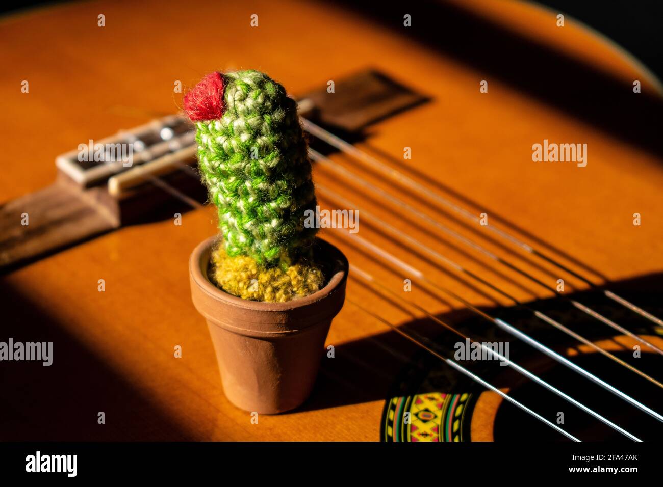 Classical or Creole guitar and cactus crafts Stock Photo - Alamy