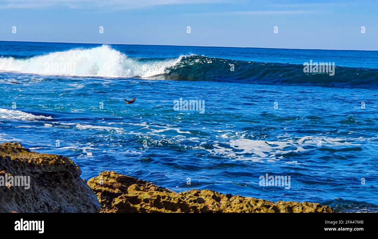 Barrel wave near rocky hi-res stock photography and images - Alamy